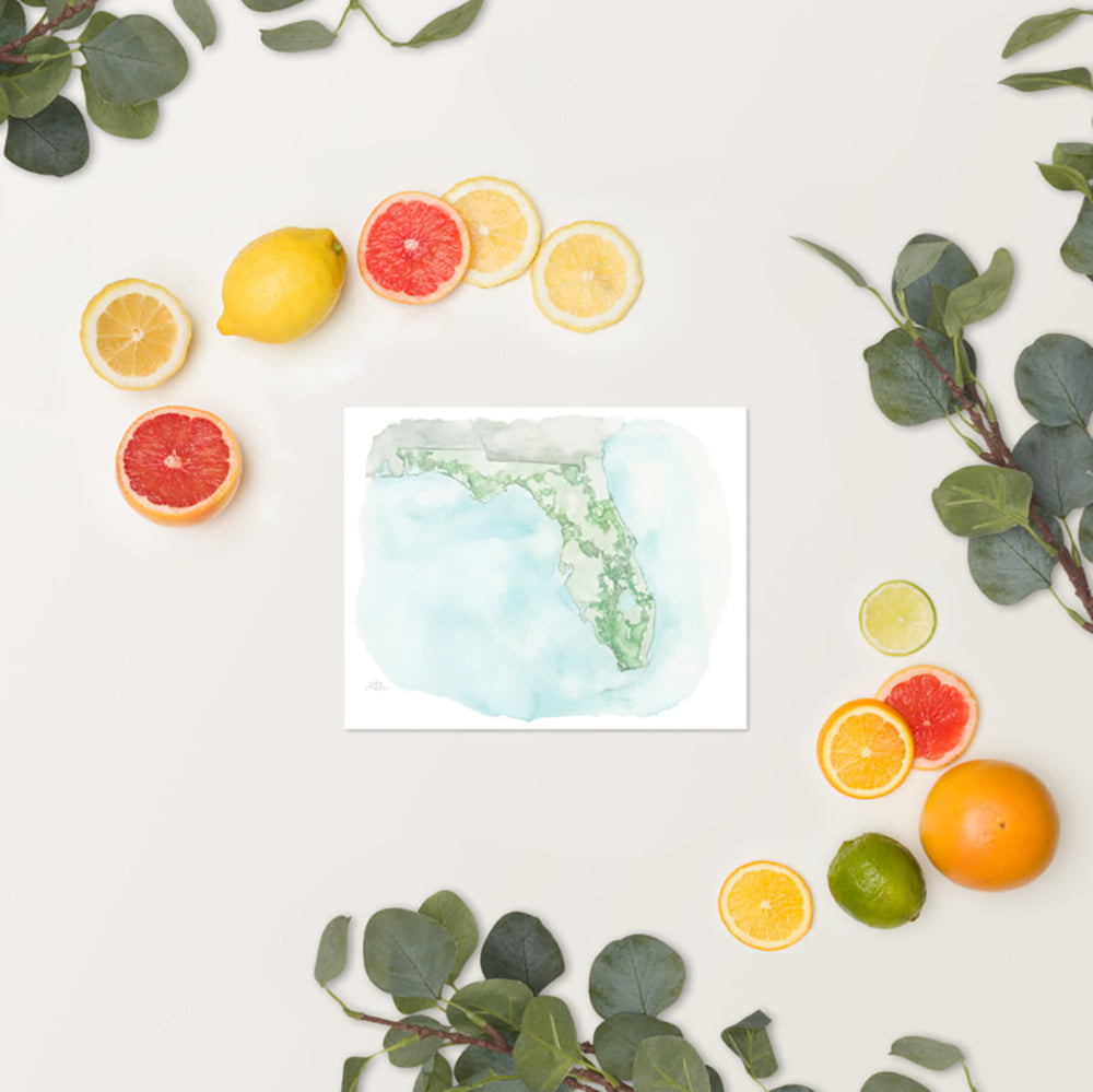 Map of the Florida Wildlife Corridor – Lisa Baylor Artworks
